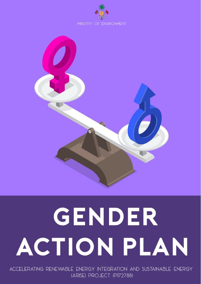 Gender Action Plan – Accelerating Renewable Energy Integration And ...