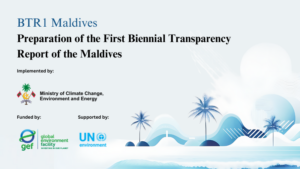 Preparation of Initial Biennial Transparency Report to the United ...